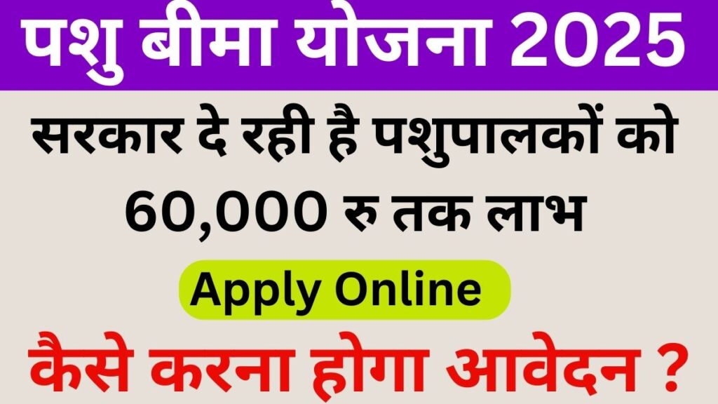 Pashu Bima Scheme 2025: पशुपालकों को मिलेगा ₹ 60,000 का बीमा लाभ? - Taaza Naukari